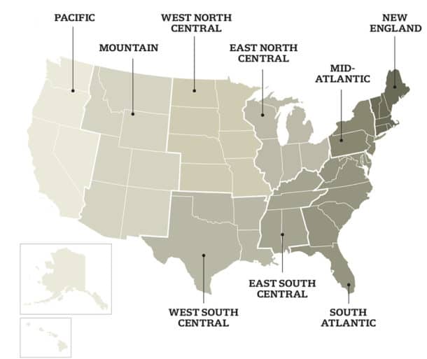 Most Attractive Beard Length 2022 | Prime & Prep