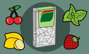 7 Best Mints of 2025 | Prim & Prep