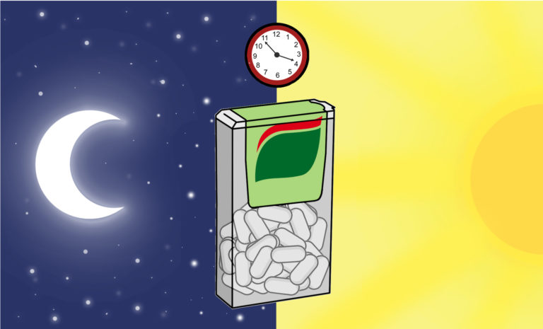 7 Best Mints of 2026 | Prim & Prep