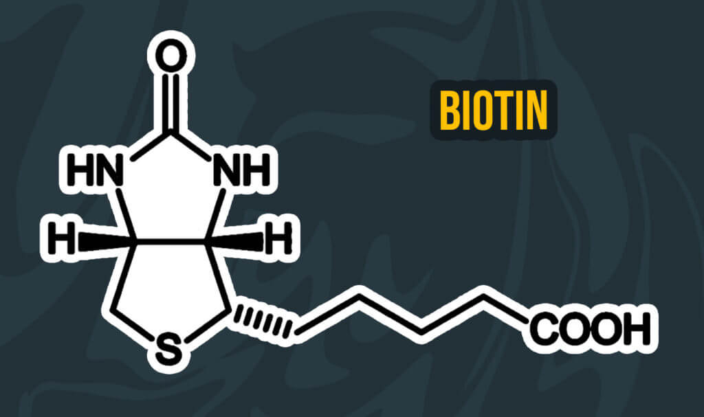 8 Best Natural DHT Blockers in 2025 (Stop Hair Loss)