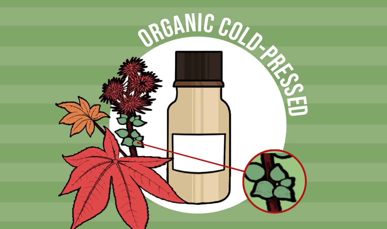 8 Best Castor Oils for Hair Growth & Thickness in 2022